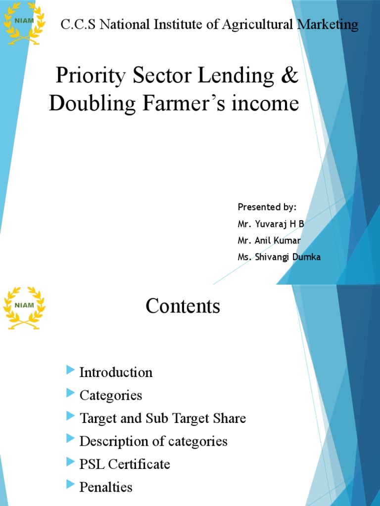 Priority Sector Lending | PDF | Loans | Small And Medium Sized Enterprises