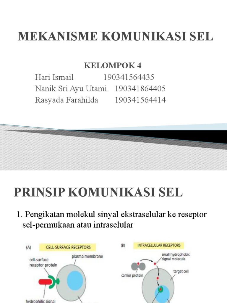 Komunikasi Sel | PDF