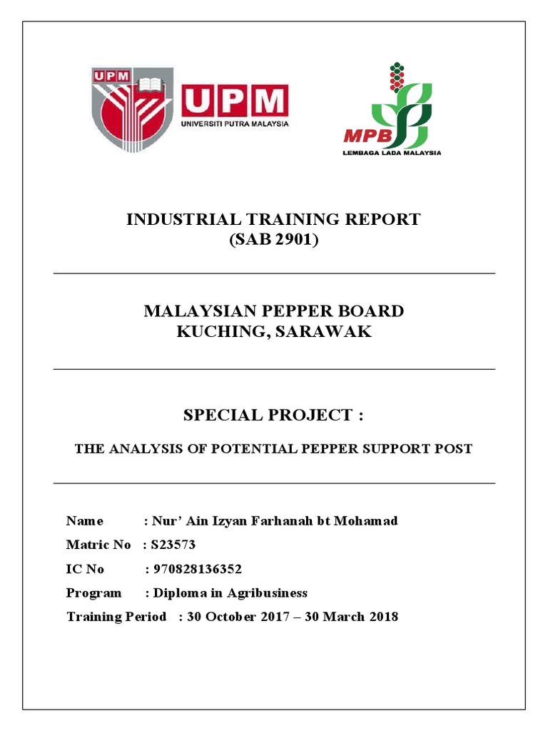 Industrial Training Report | PDF | Internship | Job Hunting