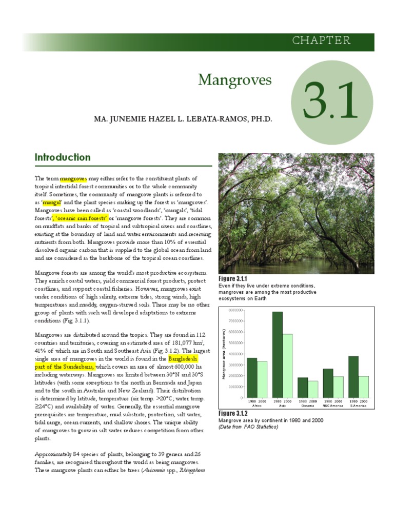 Chapter 3.1. Mangrove PDF | PDF | Mangrove | Organisms