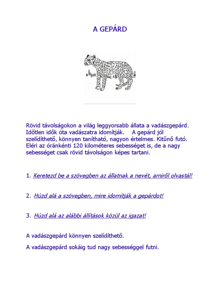 A Gepárd | PDF