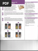 Build Guide Rank Planner doTERRA | PDF | Multi Level Marketing | Mentorship