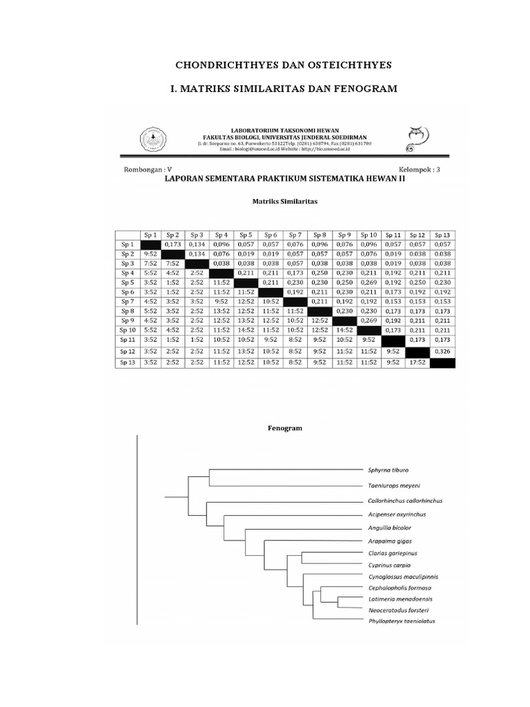 K3R5 - B1A018105 - Chondrichthyes Dan Osteichthyes - Iqbal Auni Rahman ...