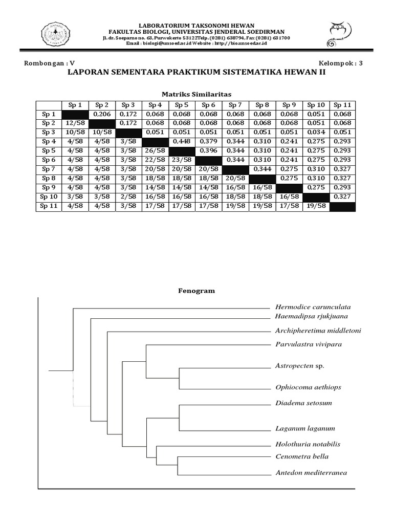 K3R5 - B1A018105 - Annelida Dan Echinodermata - Iqbal Auni Rahman ...