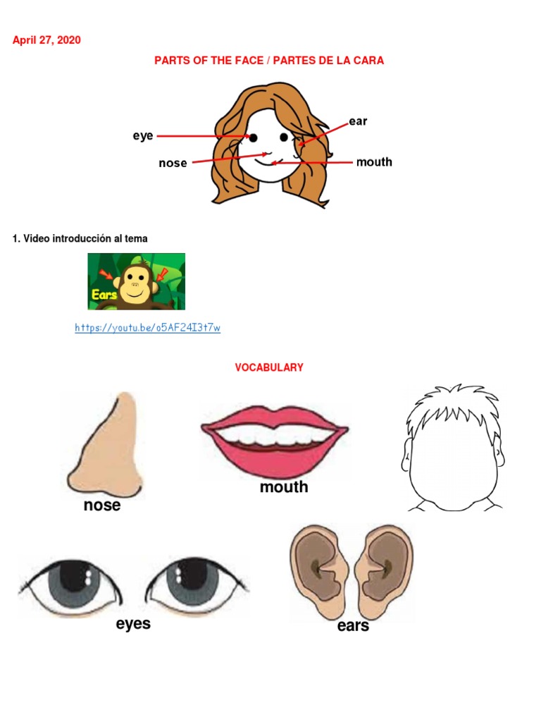 Partes de la Cara en Inglés para Niños | PDF