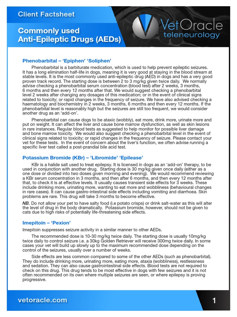 Commonly Used Anti-Epileptic Drugs (Aeds) : Client Factsheet | PDF ...