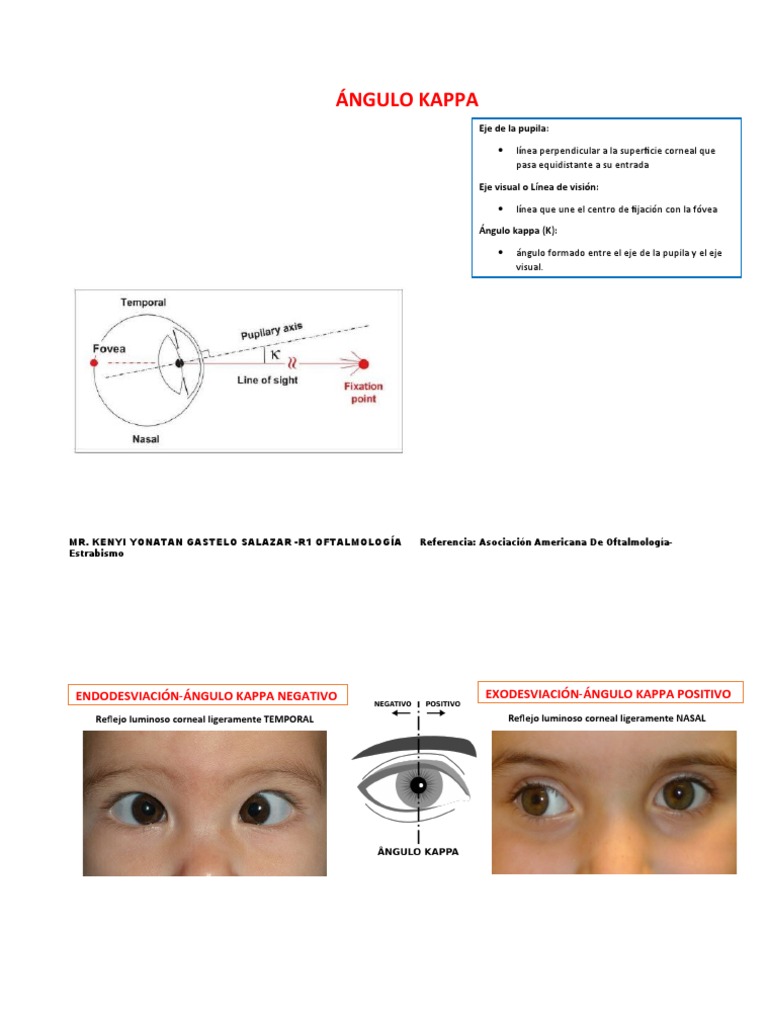 Angulo Kappa - Doc Alzamora | PDF