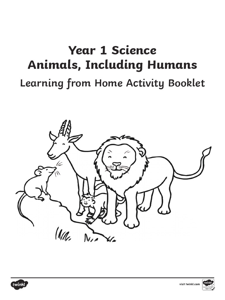 Year 1 Science Learning From Home (Animals, Including Humans) Activity ...