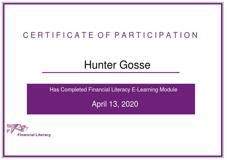 Financial Lit Certificate | PDF