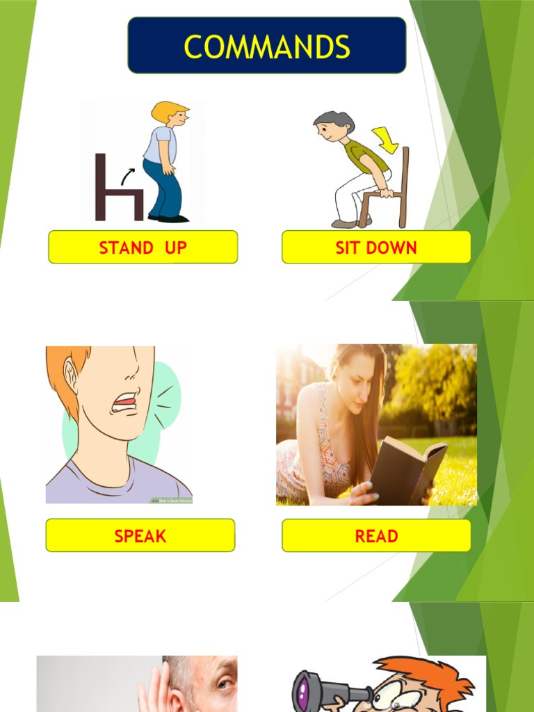 Commands: Stand Up Sit Down | PDF