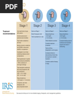IRIS Pocket Guide To CKD 2023 | PDF | Chronic Kidney Disease | Creatinine