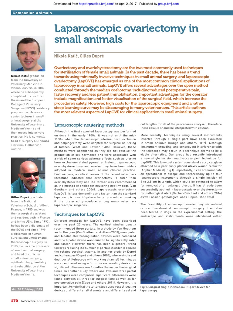 Laparoscopic Ovariectomy in Small Animals | PDF | Neutering | Surgery