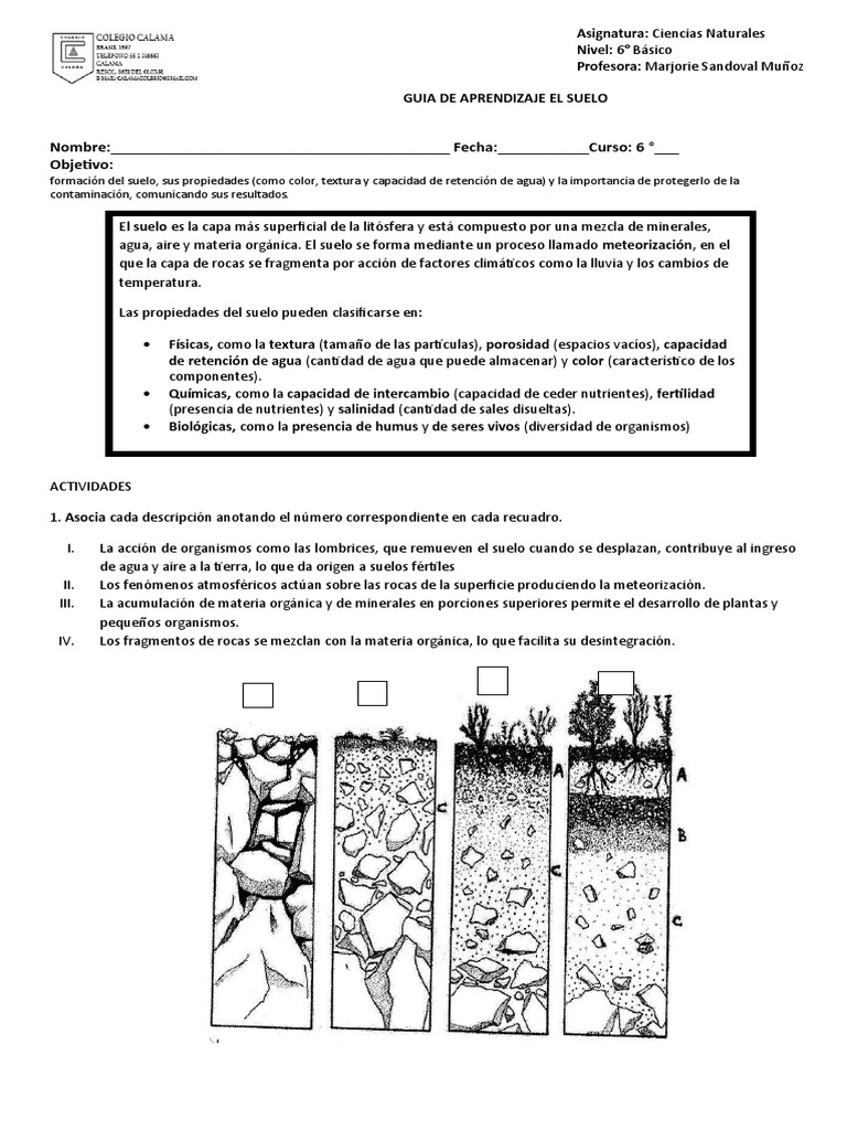 Capas del Suelo para Niños de 6° Básico | PDF | Erosión | Suelo