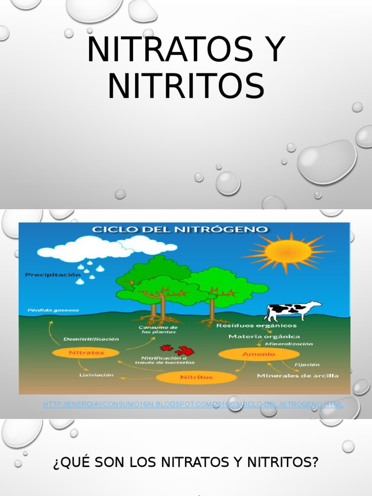 Nitratos y Nitritos: Definición y Origen | PDF
