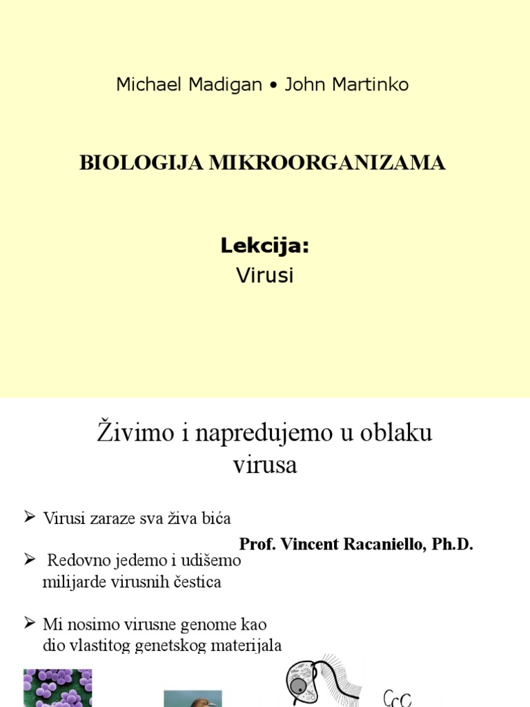 Virusi | PDF