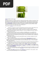 Row 7 Seed Co. Catalog | PDF | Cucurbita | Cucumber