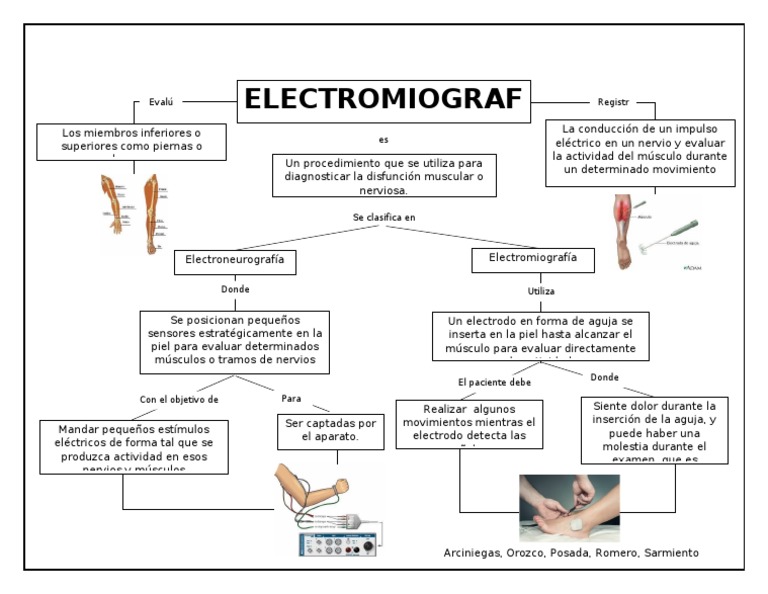 Mapa Practica 4 | Descargar gratis PDF | Electromiografia | Sistema nervioso