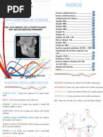 Perfiles Labiales | PDF