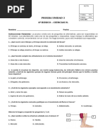 Prueba sobre sistemas óseo, muscular y nervioso | PDF | Hueso | Sistema ...