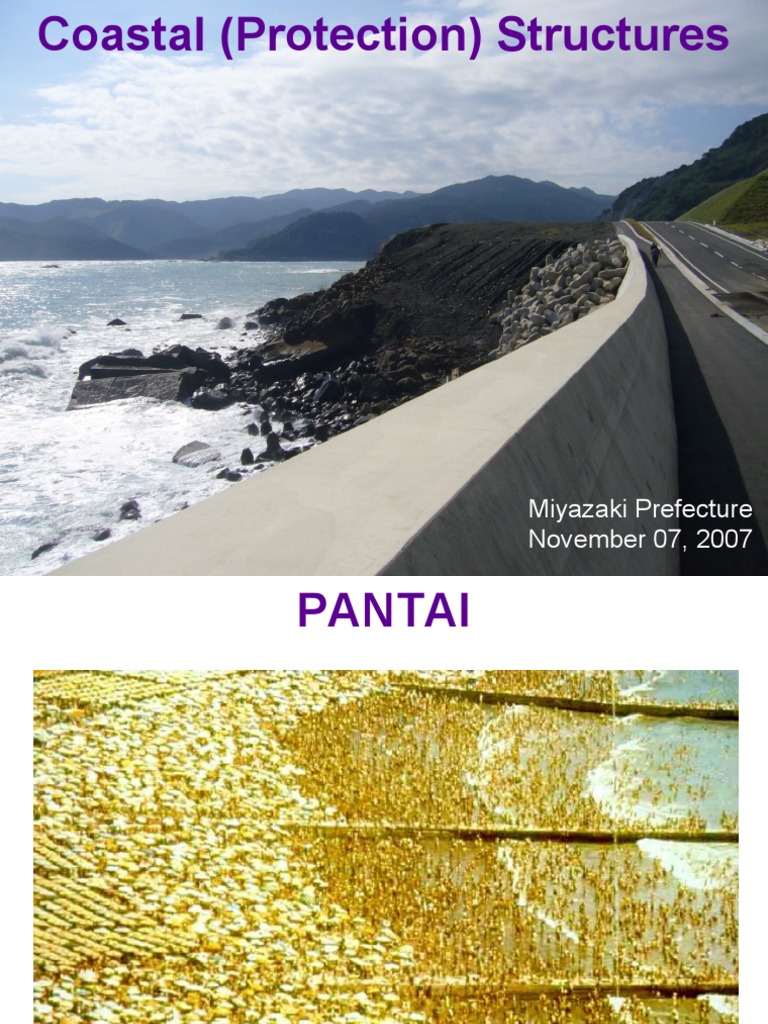 Coastal Protection) Structures | PDF | Hydrology | Bodies Of Water