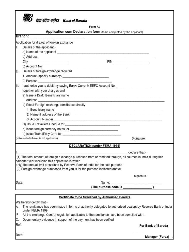 Application Cum Declaration Form Branch | PDF | Banks | Foreign ...