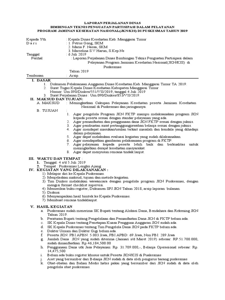 Laporan Perjadin JKN 2019 | PDF