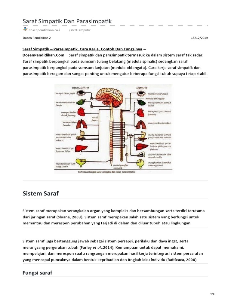 Saraf Simpatik & Parasimpatik | PDF