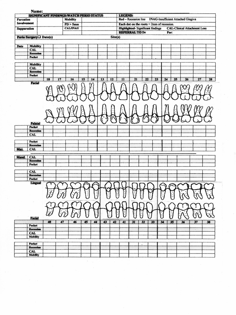 Perio Chart 2 | PDF