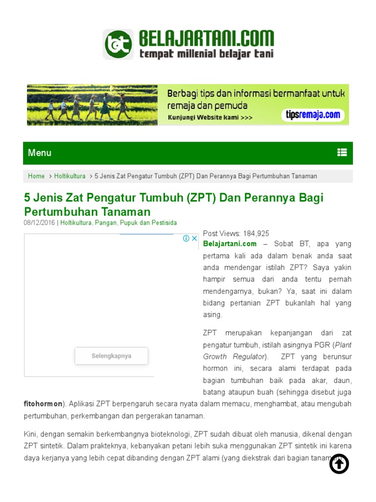 5 Jenis Zat Pengatur Tumbuh (ZPT) Dan Perannya | PDF