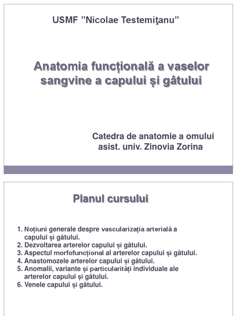 Anatomia Funcțională A Vaselor Capului Și Gâtului PDF | PDF