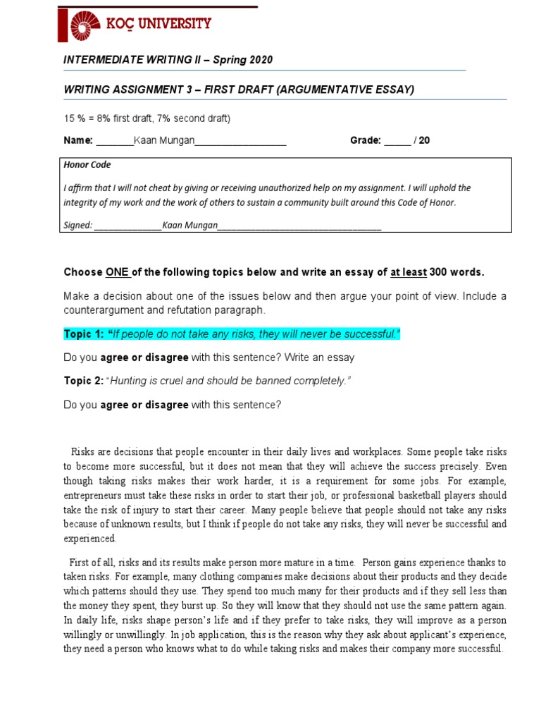 Argumentative Essay First Draft | PDF | Essays | Risk