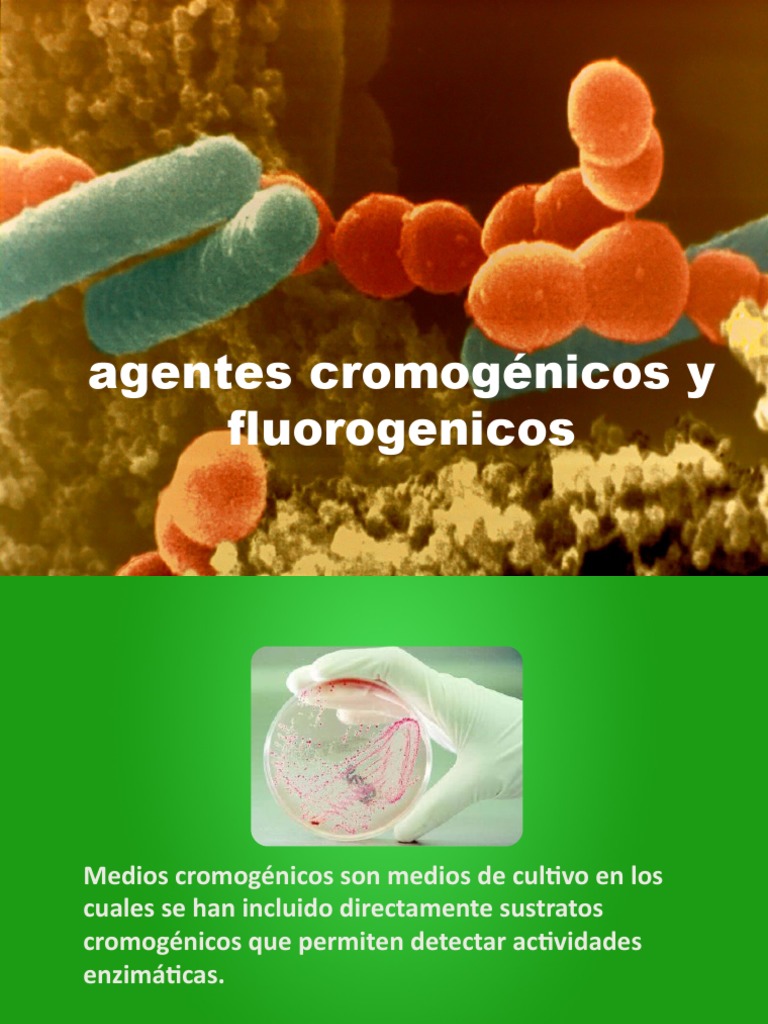 Medios Cromogénicos en Microbiología | PDF | Sustrato (Química) | Salmonela