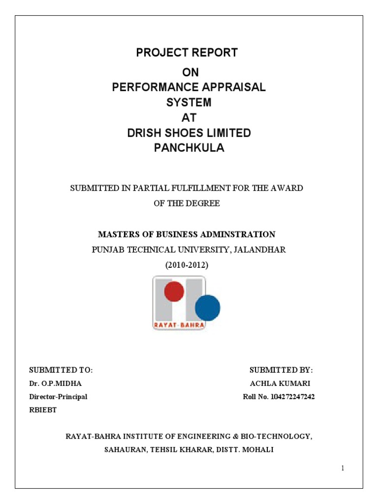 Performance Appraisal at Drish Shoes | PDF | Leather | Taxes