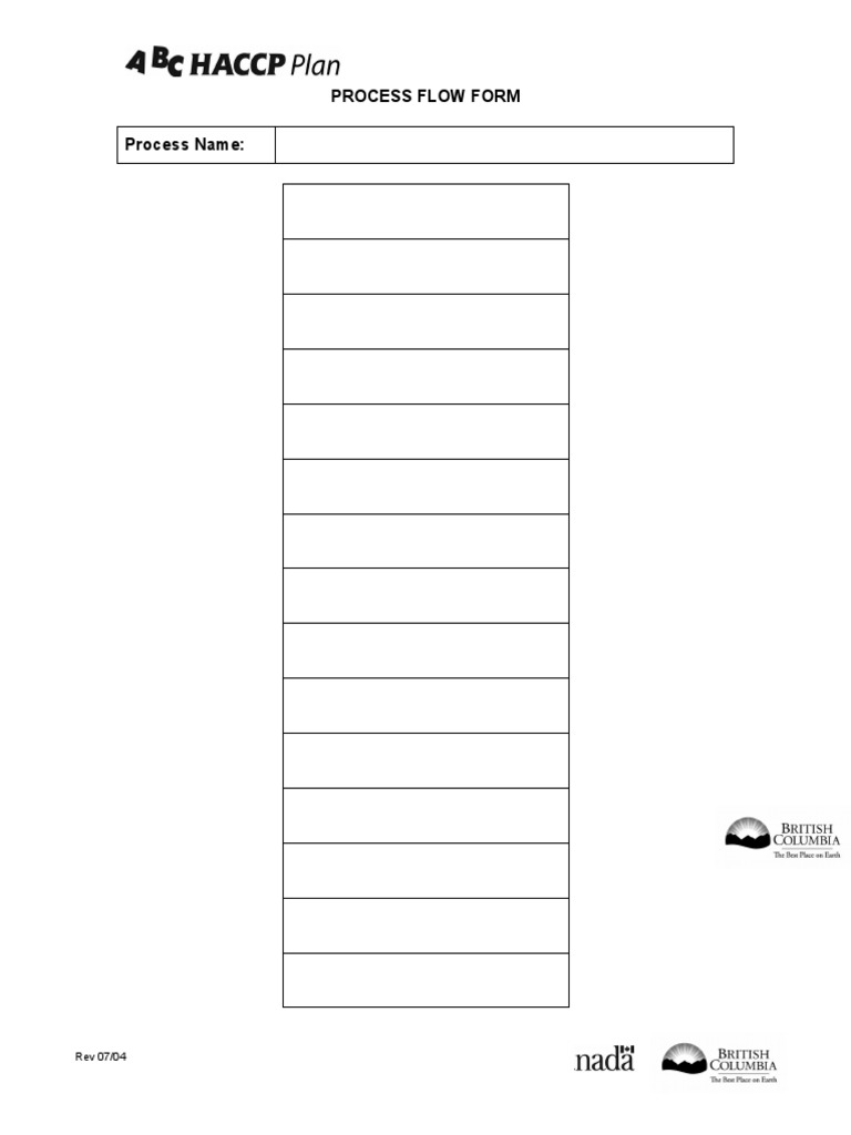 Blank Process Flow Form | PDF