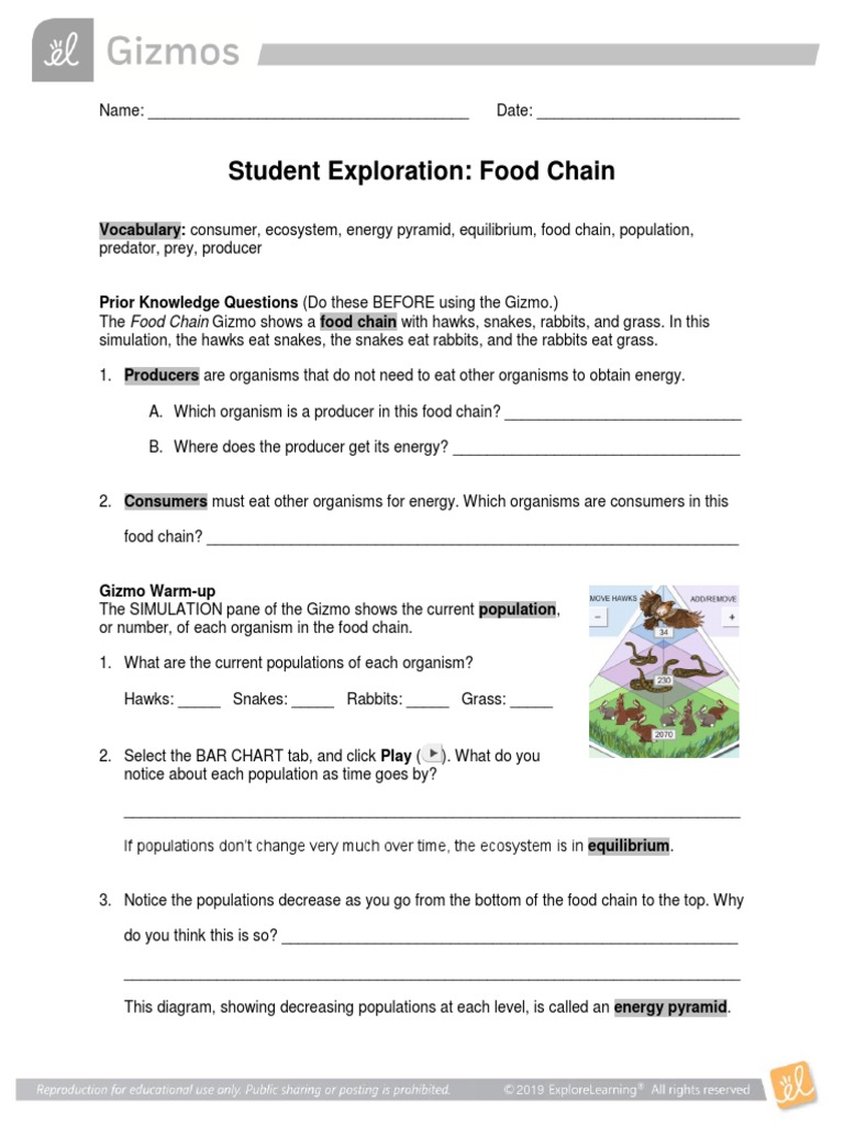 Student Exploration: Food Chain: Vocabulary: Consumer, Ecosystem ...