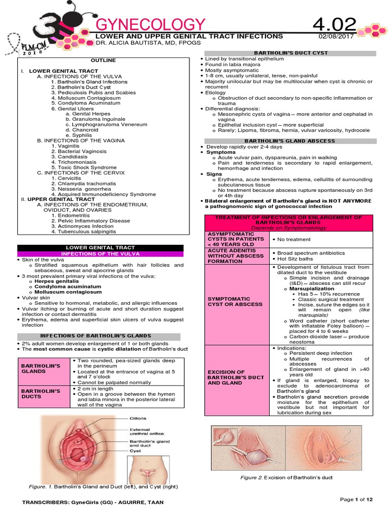 GYNE 4.02 - Lower and Upper Genital Infection | PDF | Herpes Simplex | Medical Specialties