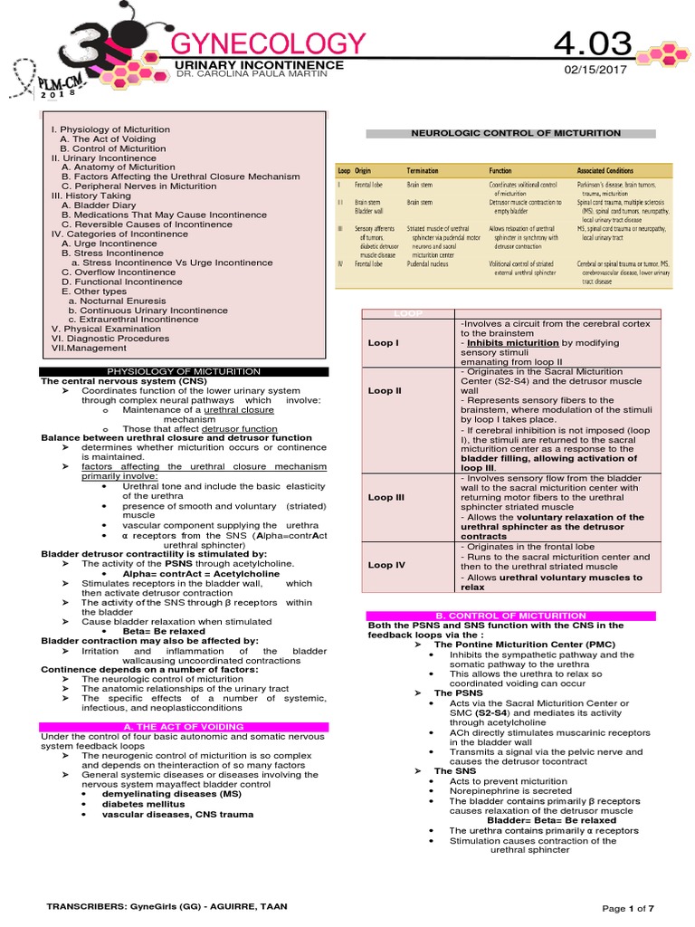 Understanding Urinary Incontinence | PDF | Urinary Incontinence | Urination
