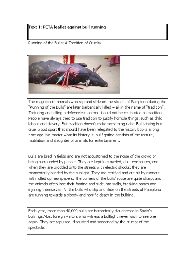 Text 1: PETA Leaflet Against Bull Running | PDF | Bullfighting