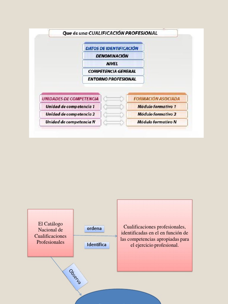 Cualificaciones Profesionales | PDF