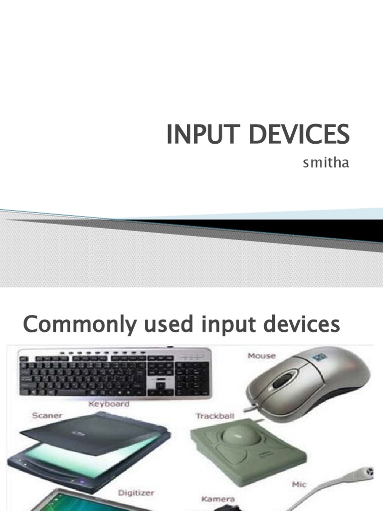 INput Devices | PDF