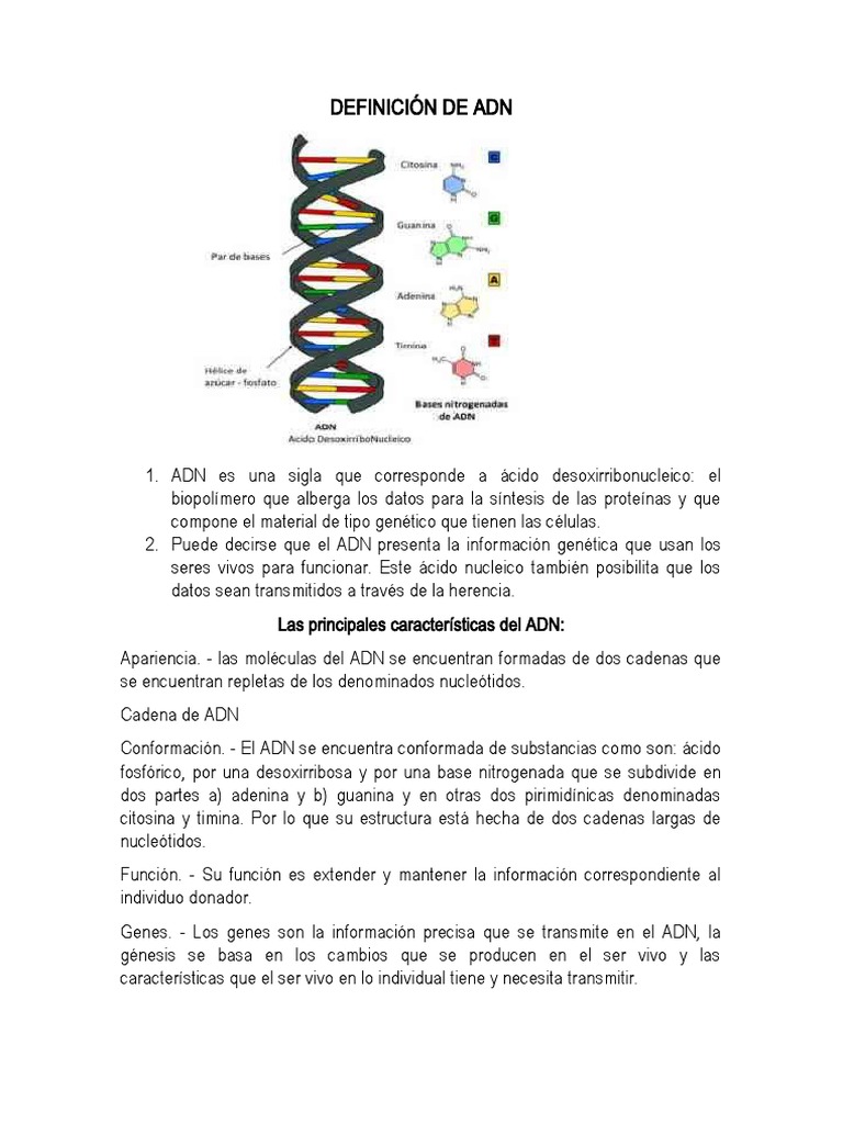 Definición de Adn | PDF | Adn | Cromosoma