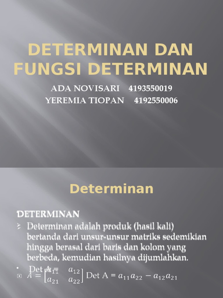 Determinan Dan Fungsi Determinan | PDF