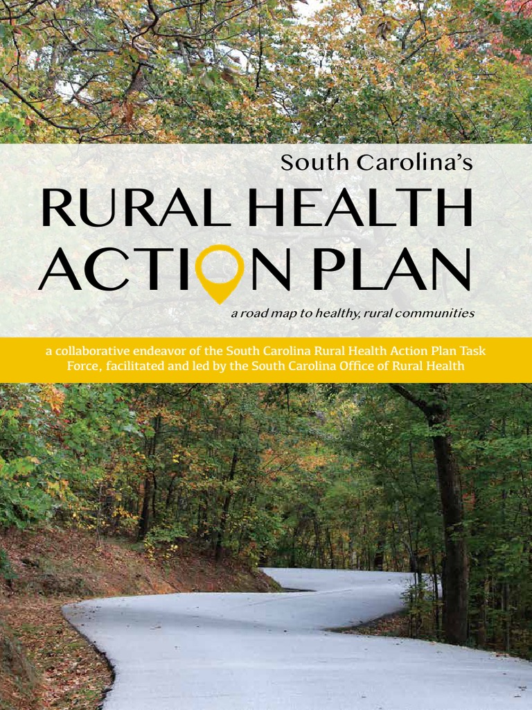 Rural Health Action Plan | Download Free PDF | Health Care | Community