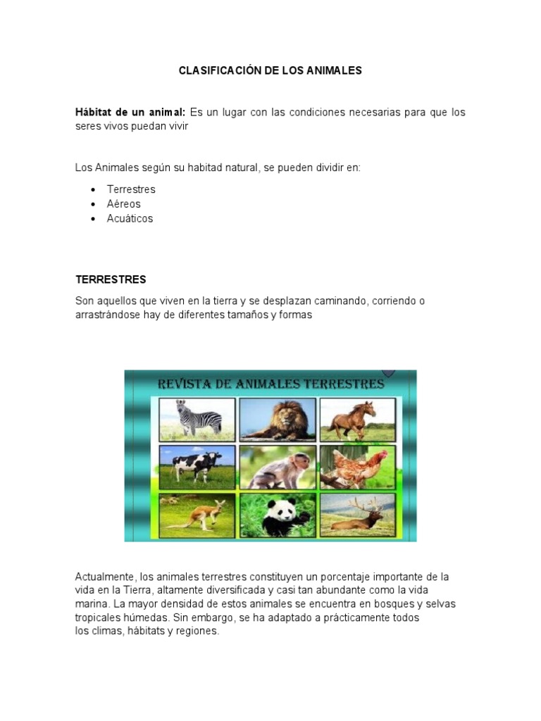 Clasificación de Los Animales | PDF
