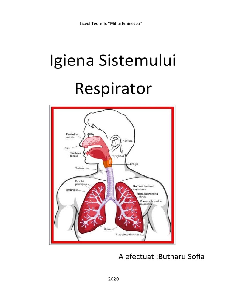 Sistemul Respirator | PDF
