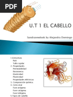 Estructura y partes del cabello | PDF | Pelo | Cabello humano