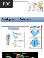 Ambulance Conduction Draft | PDF | Nursing | Hospital