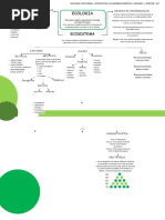 Mapa Conceptual de Ecosistema | PDF | Ecosistema | Suelo