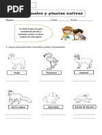 Cubierta Corporal de Los Animales | PDF