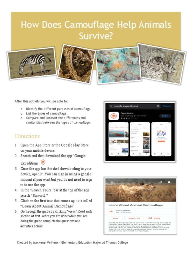 How Does Camouflage Help Animals Survive?: Directions | PDF